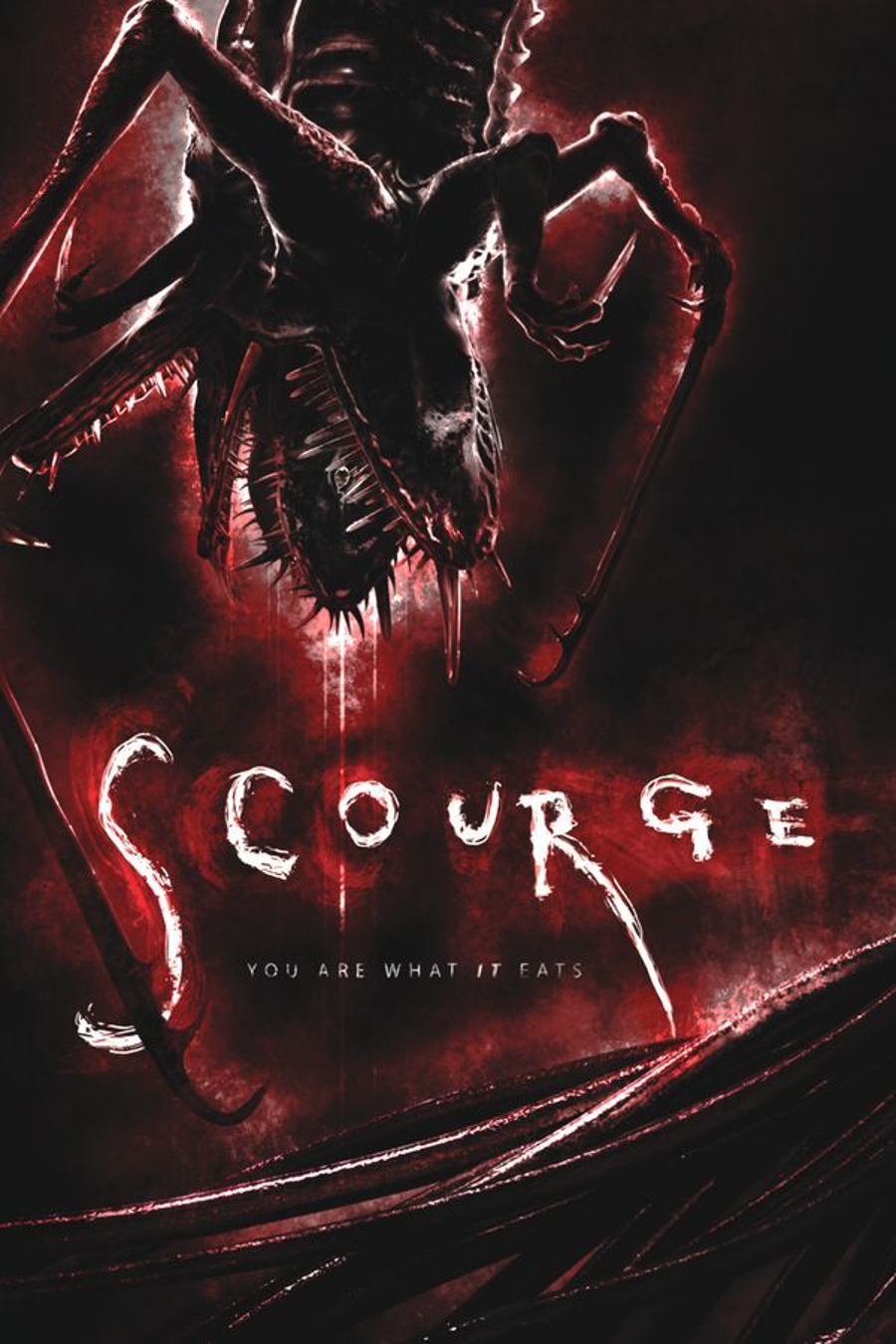 Scourge | Local Now