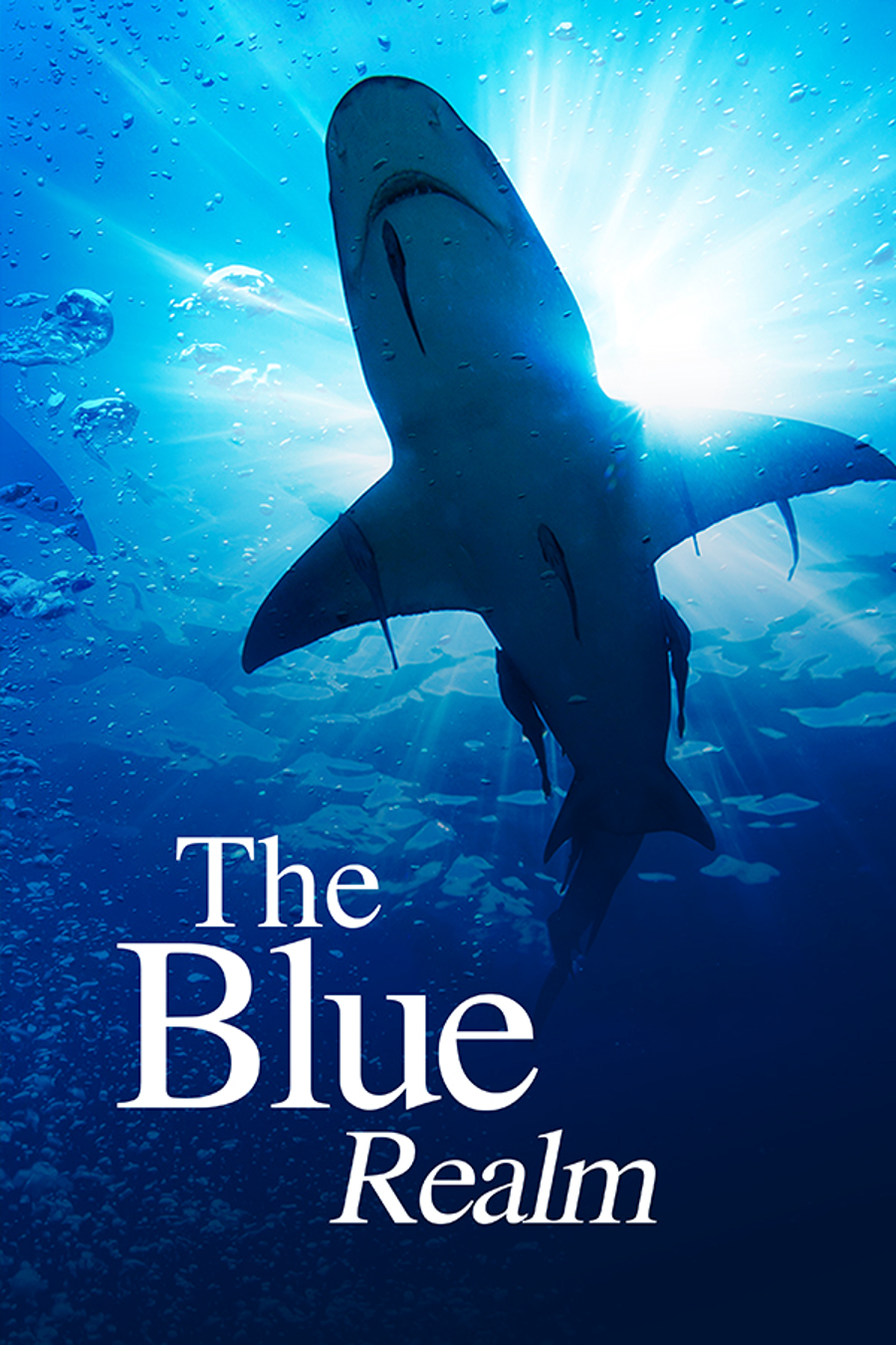 The Blue Realm | Local Now