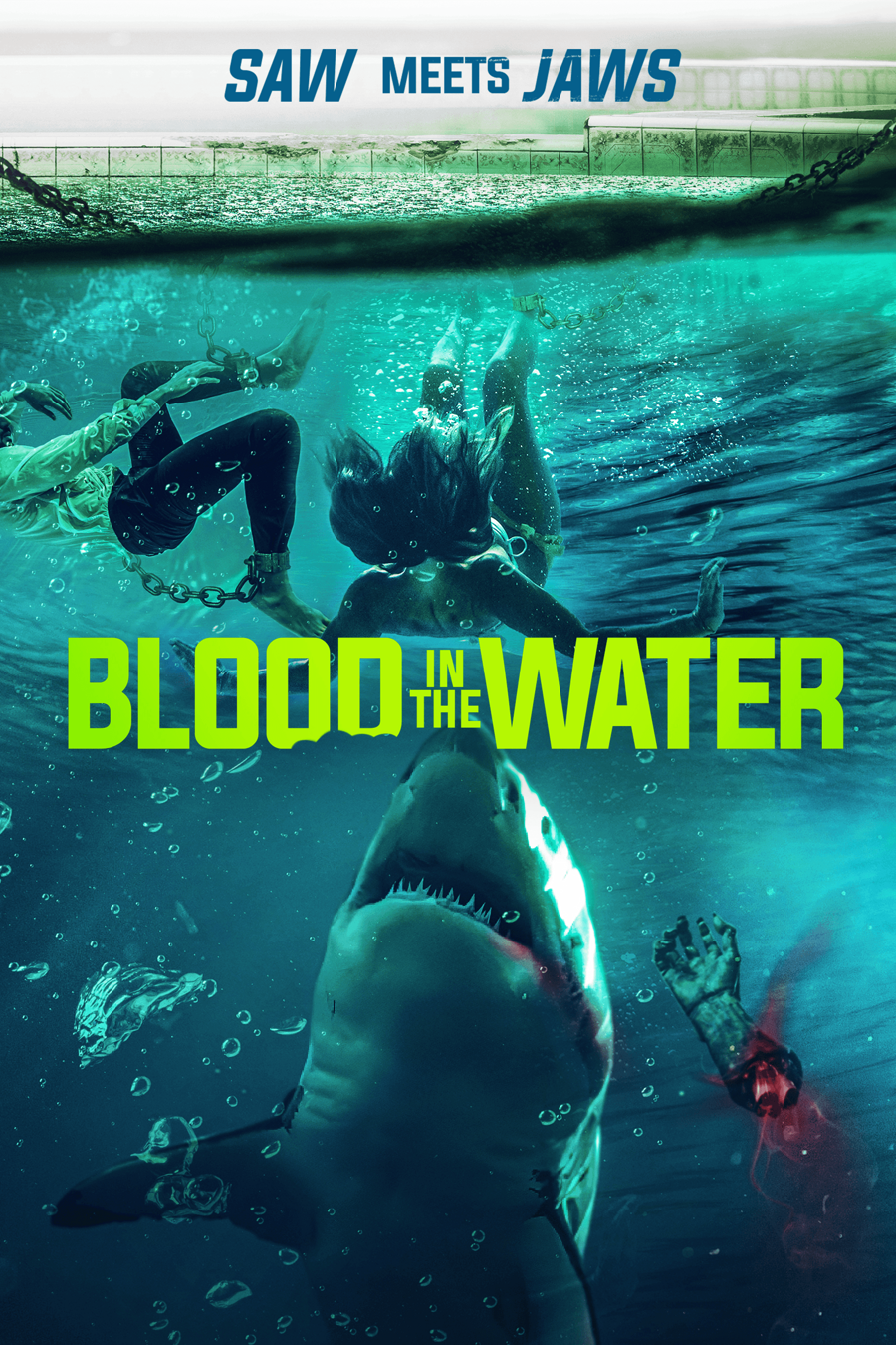 Blood In The Water Local Now blood-in-the-water-local-now