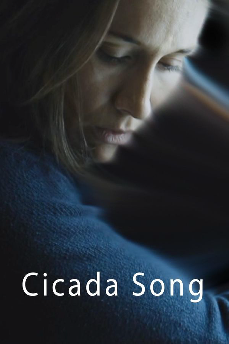 Cicada Song | Local Now