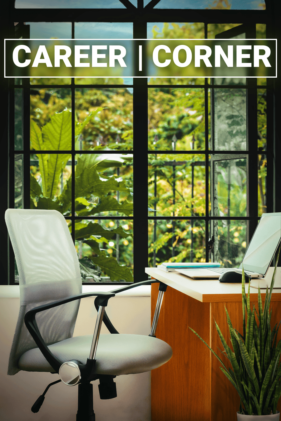 Career Corner | Local Now