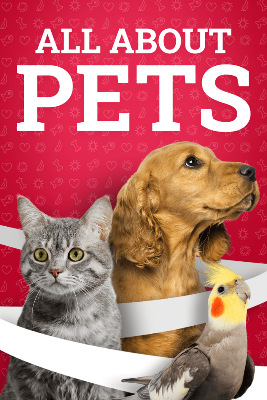 All About Pets | Local Now