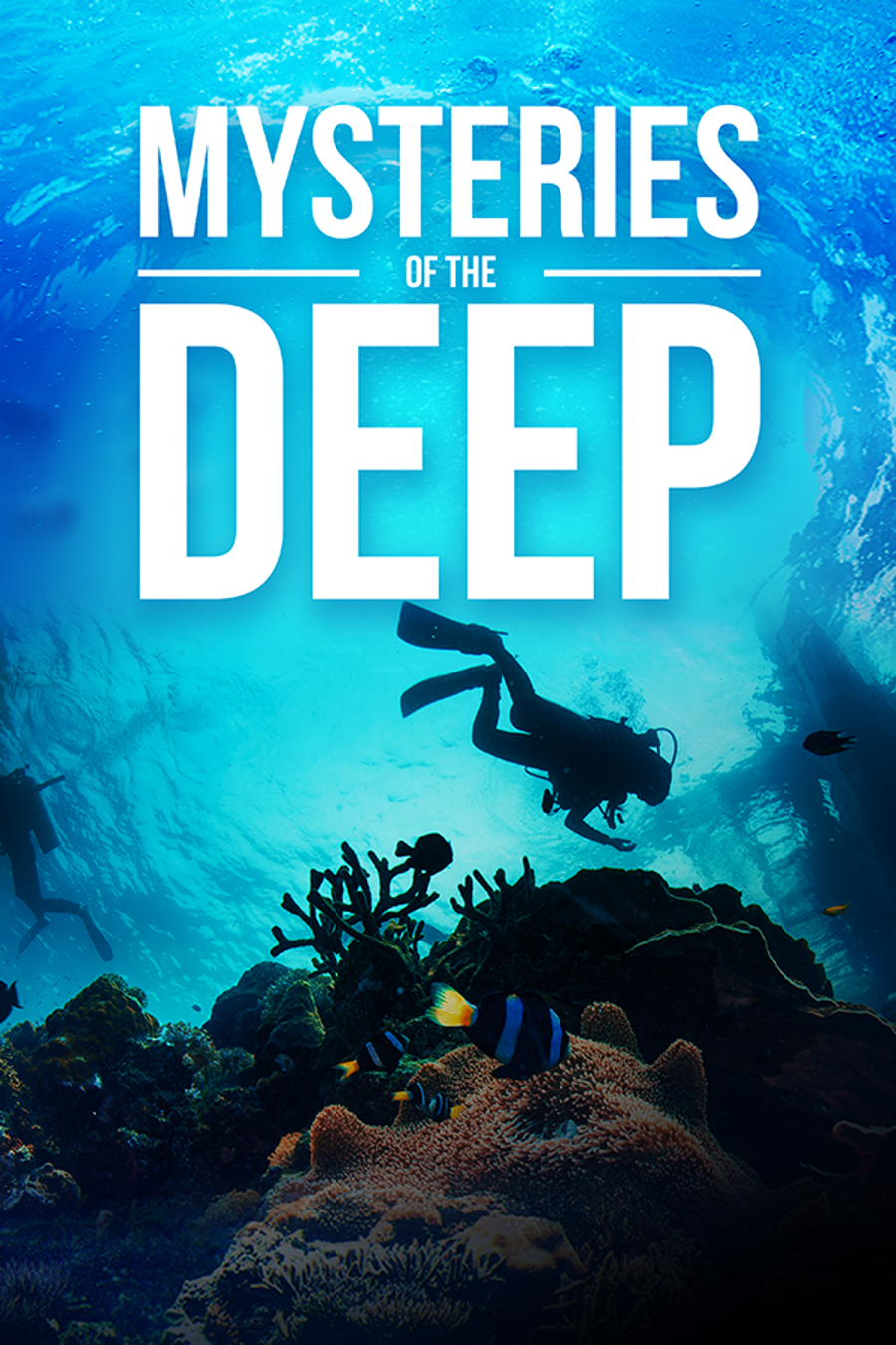 Mysteries Of The Deep | Local Now