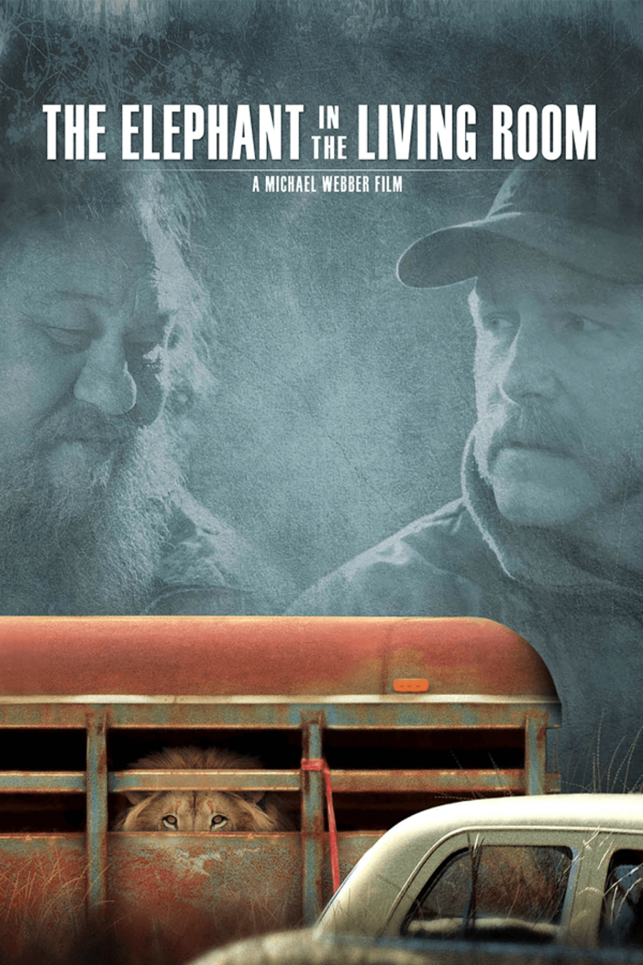 The Elephant In The Living Room | Local Now