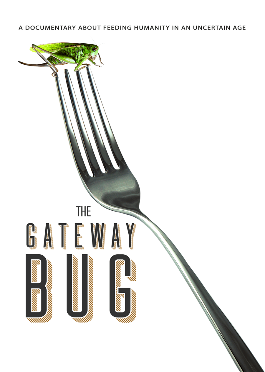 The Gateway Bug | Local Now