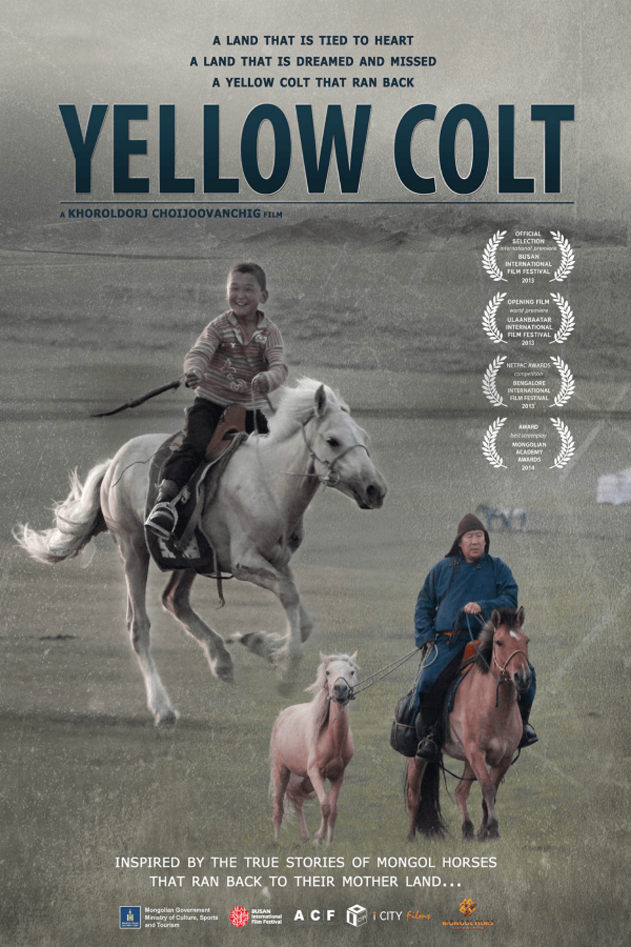 Yellow Colt | Local Now