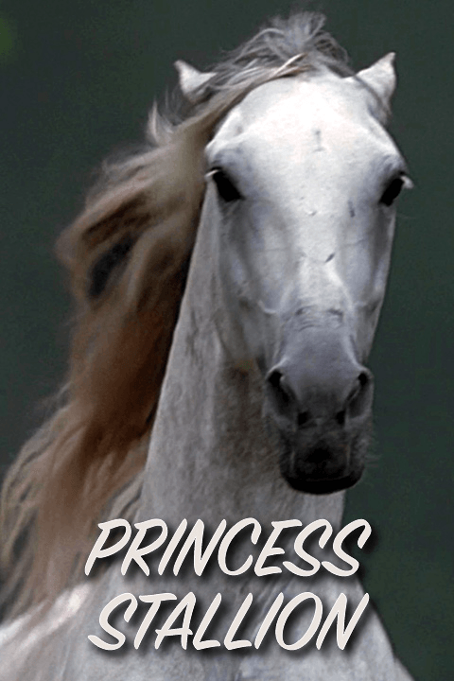 The Princess Stallion | Local Now