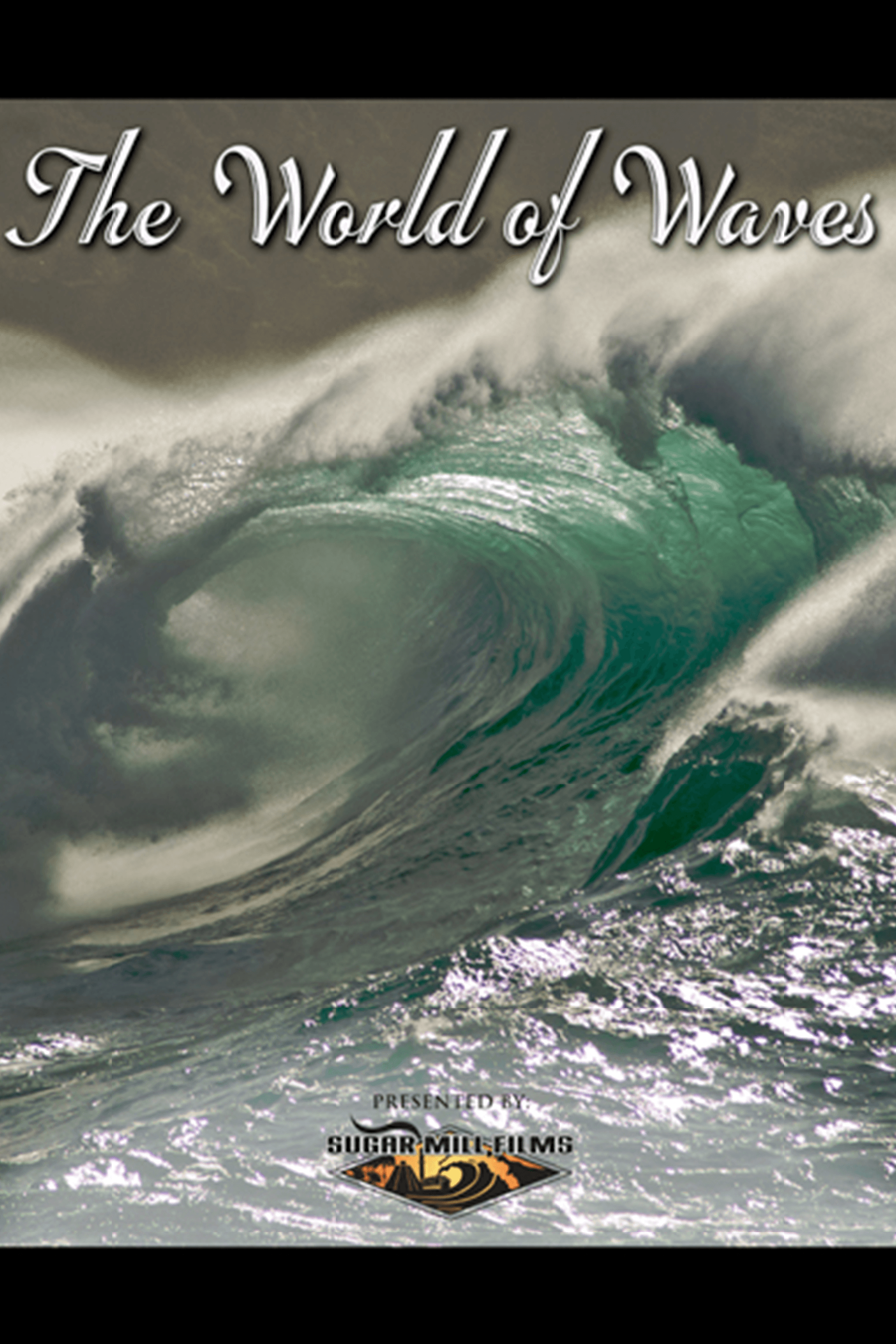 The World of Waves | Local Now