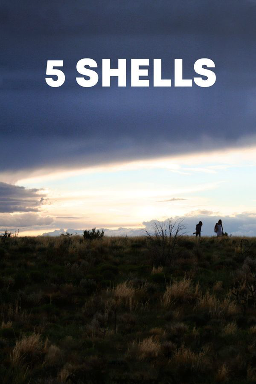 5 Shells | Local Now